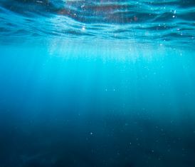 Deeper into Concurrency Contention – Andy Brownsword