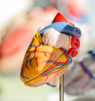 Anatomy of a Window Function Execution Plan – Andy Brownsword